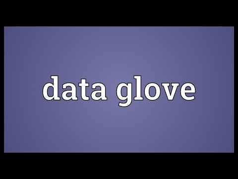 Data glove Meaning