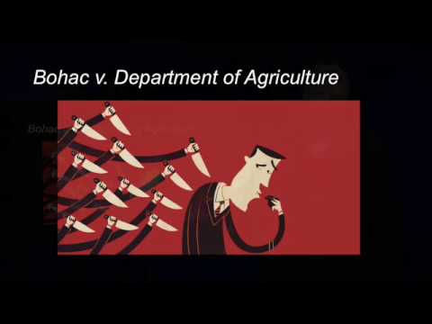 Contract Law 77 V Mental Anguish and Punitive Damages