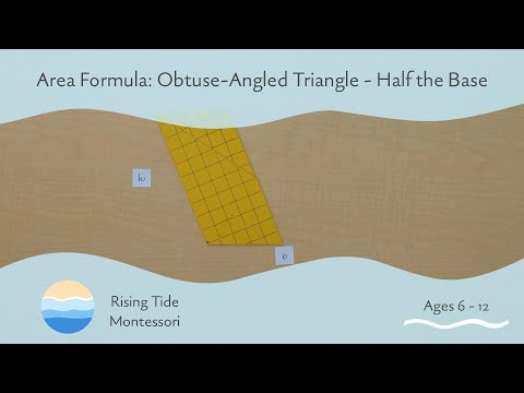 Area Formula: Obtuse-Angled Triangle - Half the Base