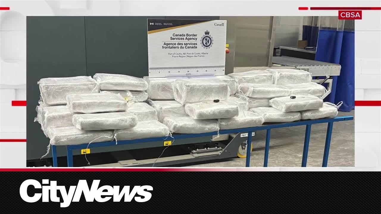 Edmonton man charged after 67 kg of cocaine seized at Coutts Border