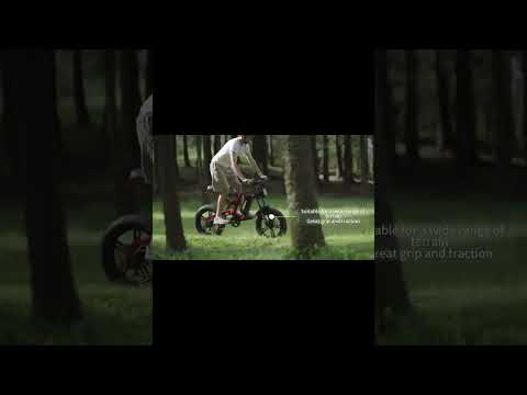 RZOGUWEX 20” Fat Tire Electric Bike Review | Powerful Dual Motor E-Bike with 30AH Battery
