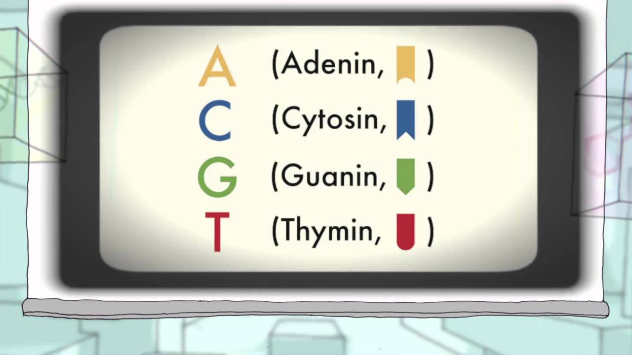Pimp you brain - Sequence analysis