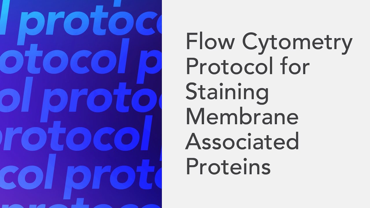 Flow Cytometry Protocol for Staining Membrane Associated Proteins