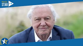 Sir David Attenborough to walk through final day on Earth for dinosaurs in new documentary