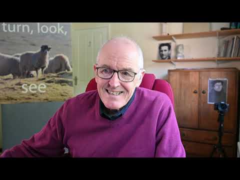 Excess deaths 2025