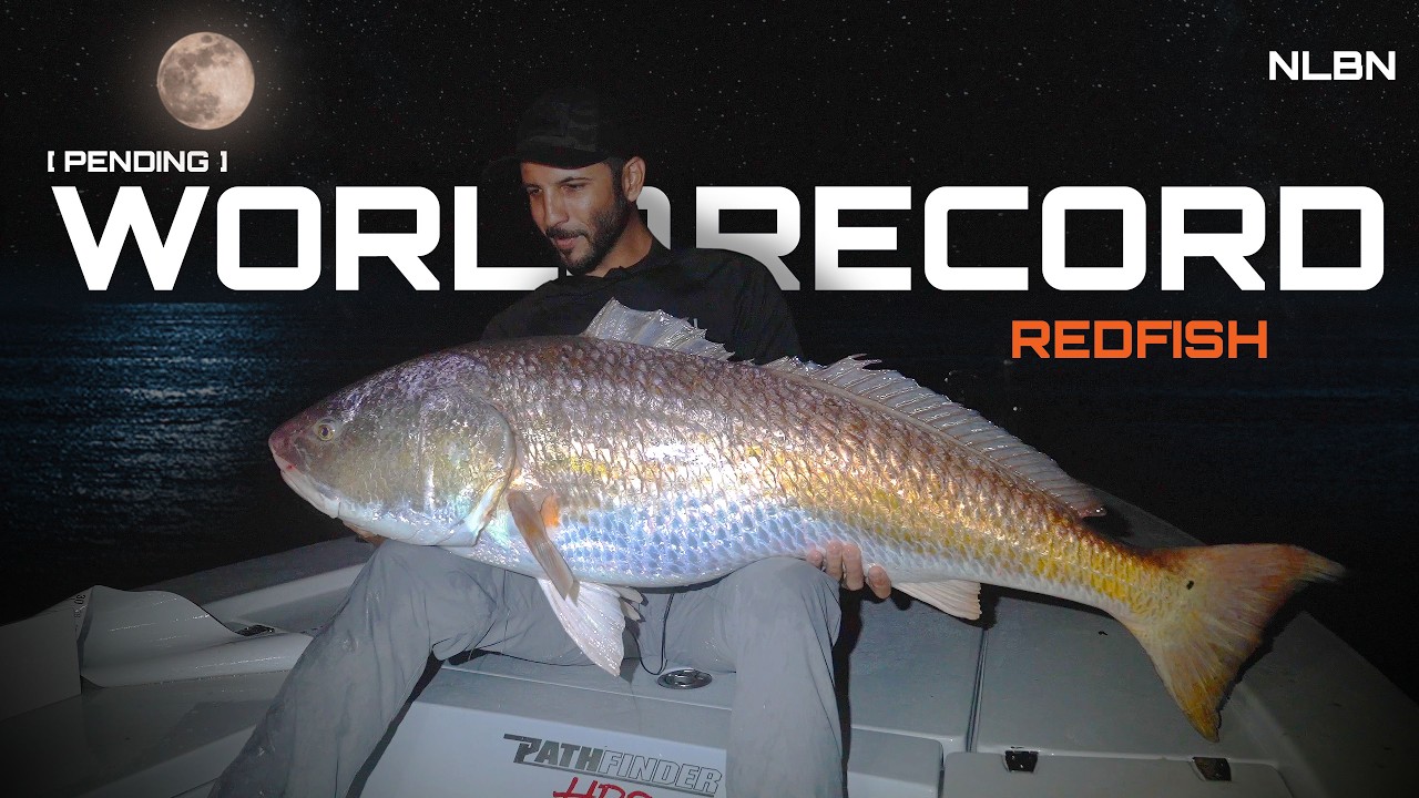 [Pending] World Record BULL Redfish! 50+lbs in GIANT Schools