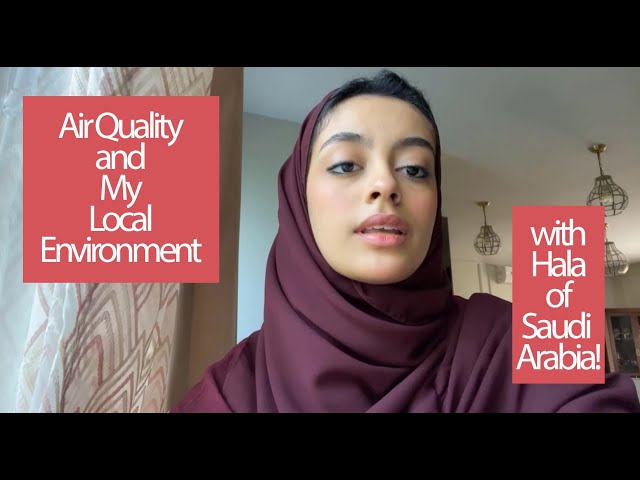 The problem of Air pollution in Riyadh, Saudi Arabia: Causes ...