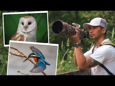 Sony A7 IV Review (2025) — 5 Pros and Cons You NEED to Know!