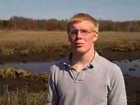 Coastal Wetlands: Exploring New England's Salt Marshes