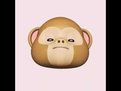 Animalmoji #sillyfaceexpression