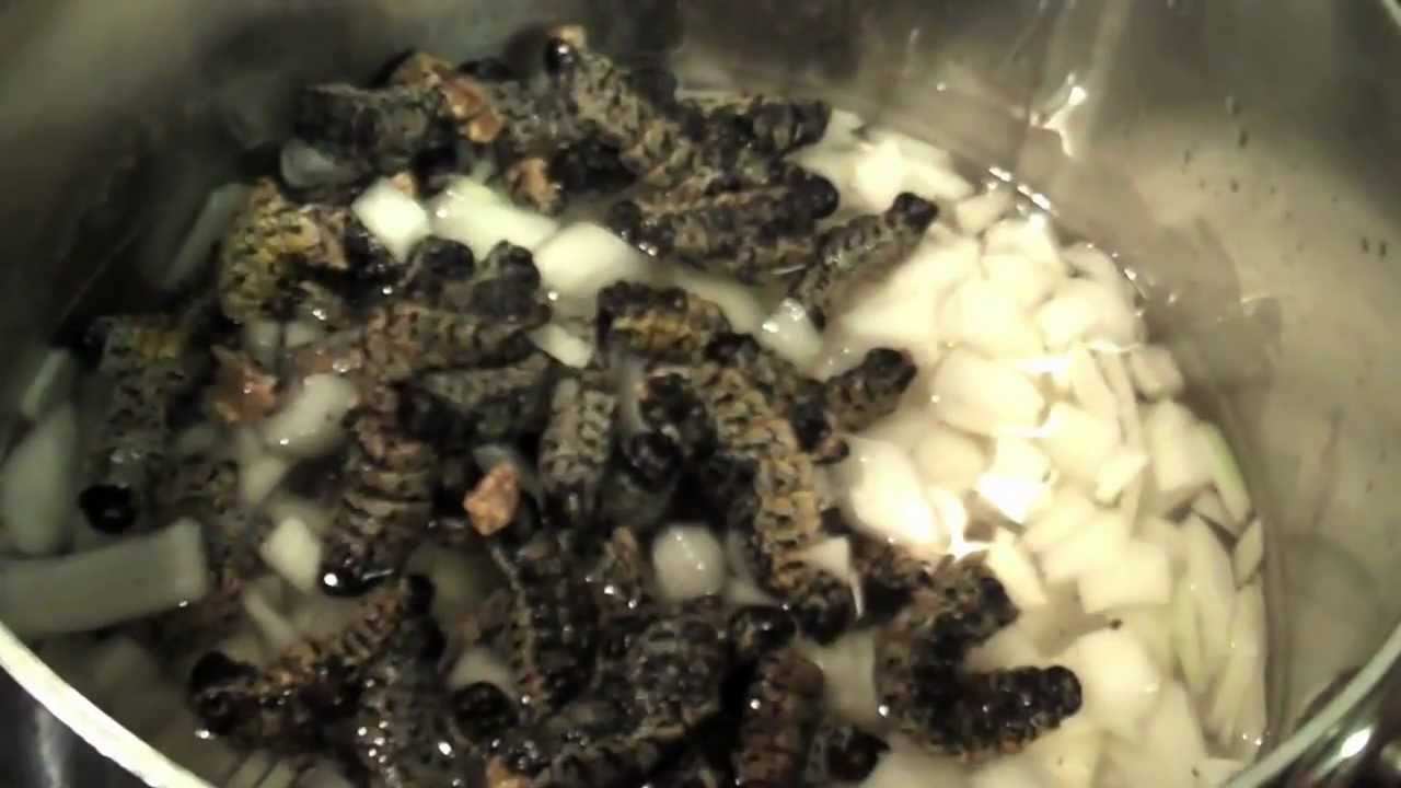 Masonja / Mopani / Mopane Worm Recipes – The Best African Dried Moth ...