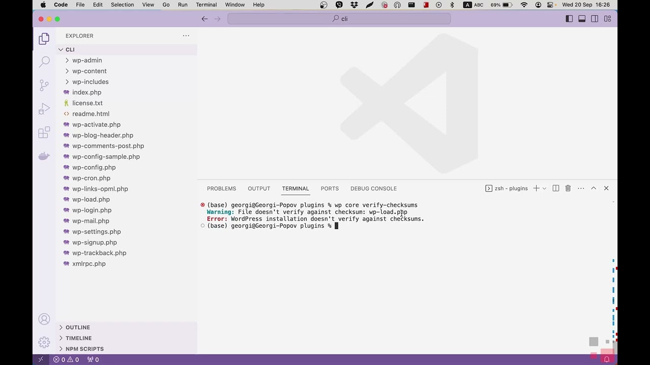 09 01 wp core verify checksums