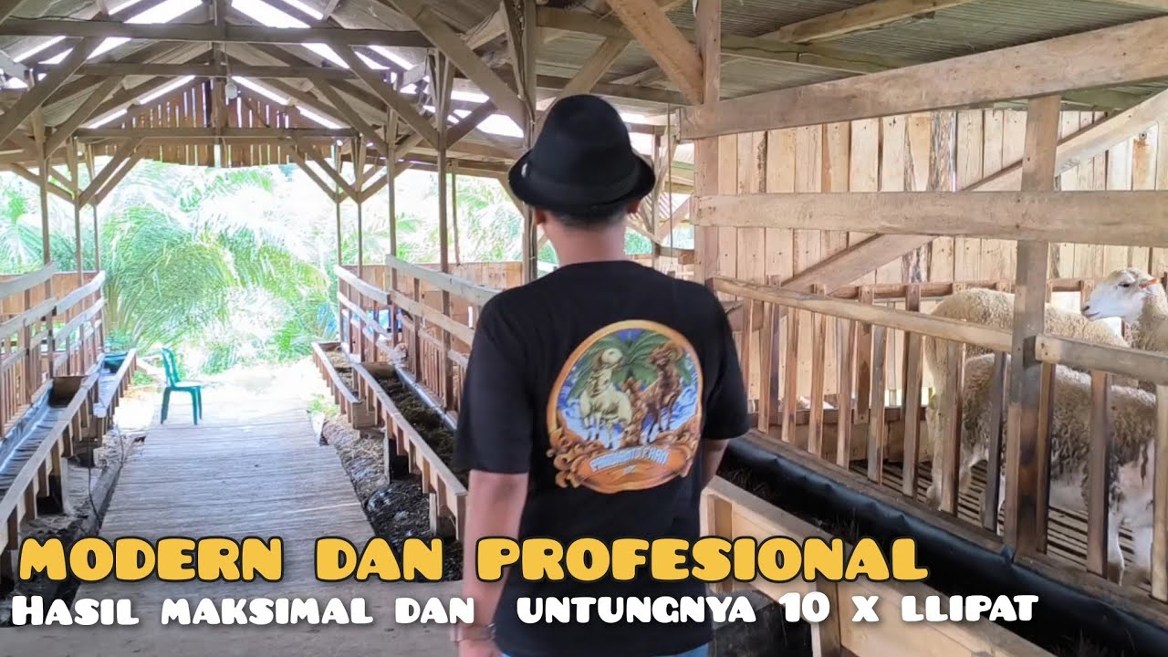 Repost 3: Modern Sheep Farming and Manure (Urine) Processing | Pdf Farm