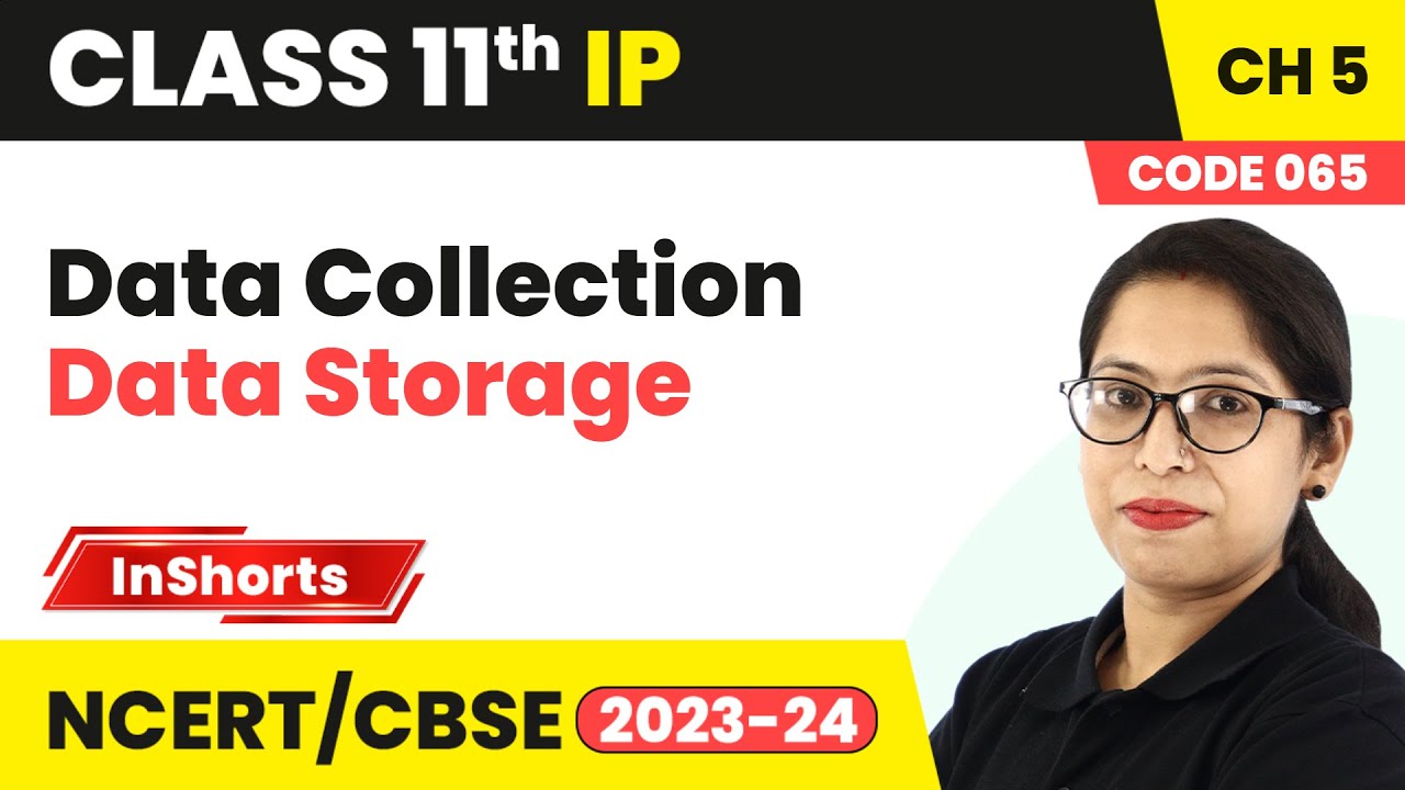 Data Collection, Data Storage | Class 11 Informatics Practices Chapter 5 | Understanding Data