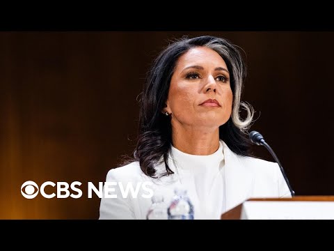Tulsi Gabbard survives Senate committee vote
