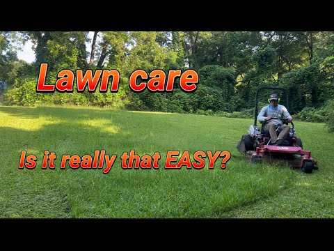 Lawn business is EASY...? | Be careful who you listen to !!!