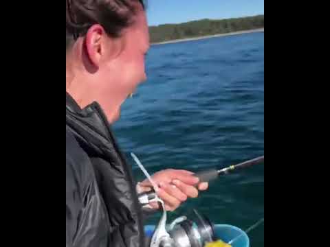 Octopus Ink to the Face