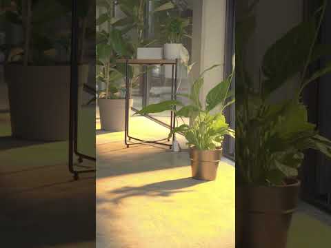 Volets roulants solaire | Somfy