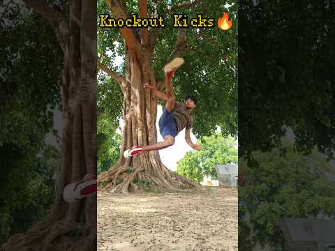 Knockout Kicks🔥🥋🔥 #taekwondo #karate #trick #training #fighting #mma #kungfu #speed #power #shorts