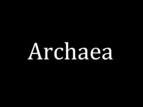 How to pronounce Archaea