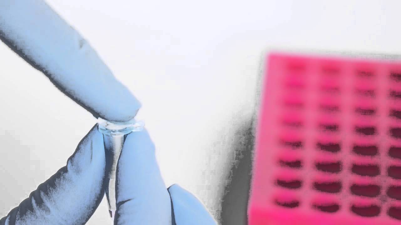 Simple Western Videos | Bio-Techne