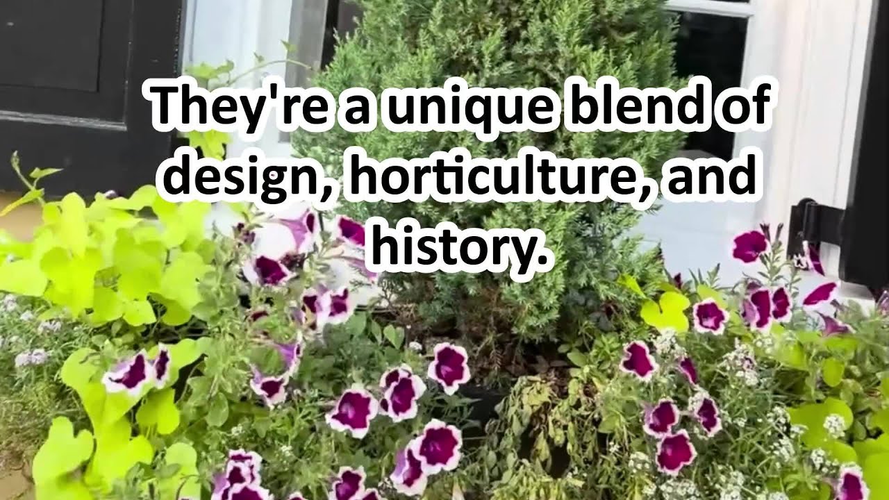 Window boxes of Charleston – more than what meets the eye