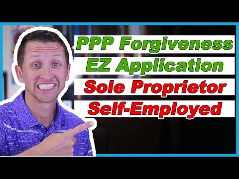 PPP Forgiveness Application [Form 3508EZ]