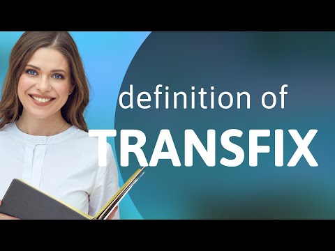 Transfix — meaning of TRANSFIX