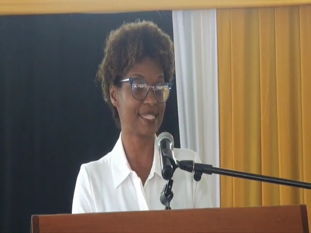 WATCH: Stacey Knight calls for end to 'educational apartheid' in ...