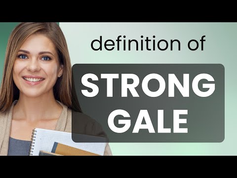 Strong gale | meaning of STRONG GALE