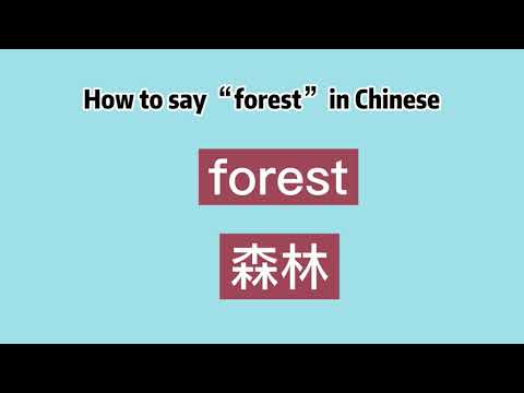 How to say “forest” in Chinese