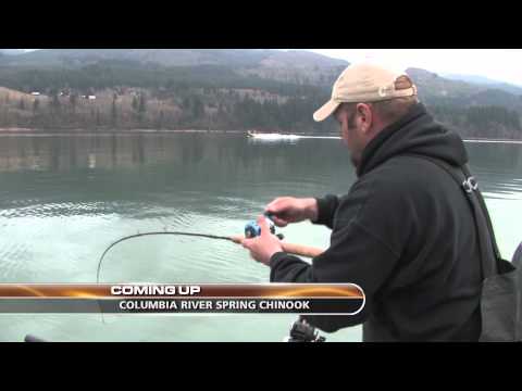 Merwin Kokanee & Columbia River Springers