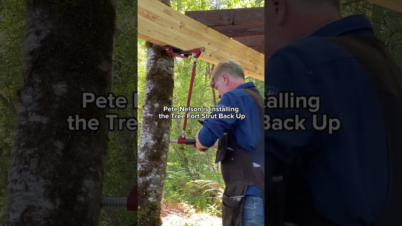 Install a Tree Fort Strut Back Up with Pete Nelson
