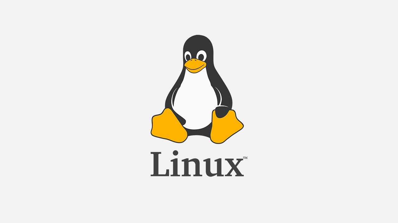 #Linux command :  alias , export