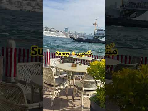 How to say โSunnyโ๐in Levantine Dialect!๐ต๐ธ๐ฏ๐ด๐ธ๐พ๐ฑ๐ง