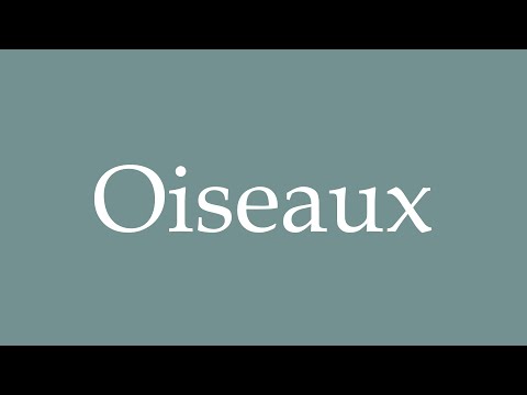 How to Pronounce ''Oiseaux'' Correctly in French