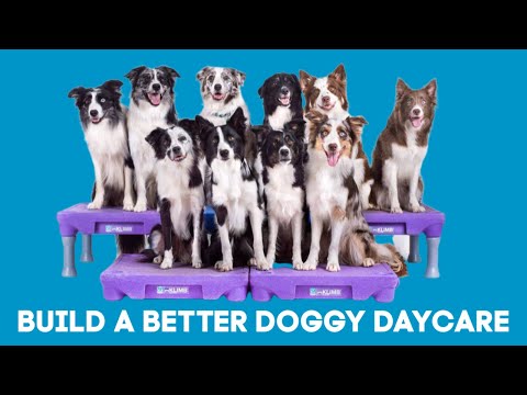 Elevate your Doggy Daycare Enrichment Program with Playground Structures using the KLIMB