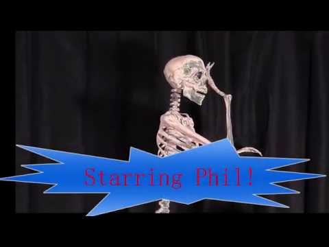 BBV: The Bare Bones on Viktor Frankl