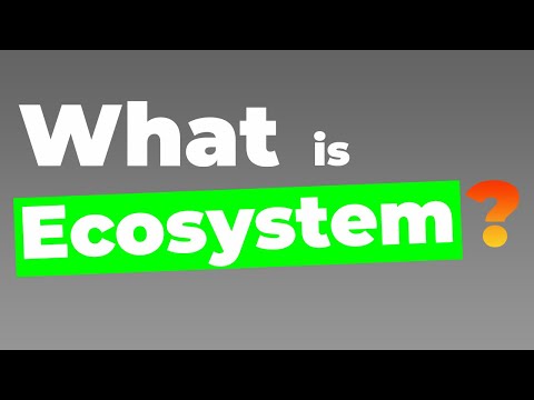 What is ecosystem | define ecosytem class 10 | trending saurabh
