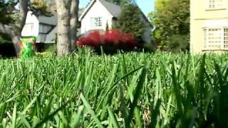 Nutri-Lawn Franchise Costs and Franchise Info for 2022 | Franchise Clique