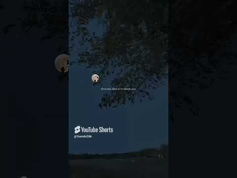 Pov You Searched Sad Songs 💔