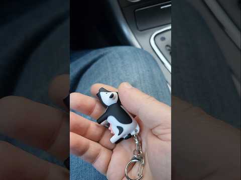 Moo moo Subaru