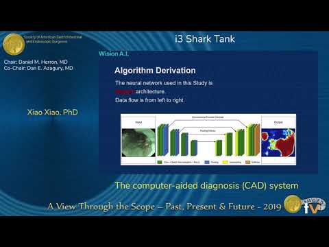 The computer-aided diagnosis (CAD) system