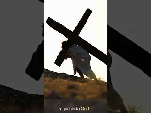 Daily Bible Passages I Philippians 4:6-7 I Bible in a Year Day 38 #shorts #bible #god #church #short