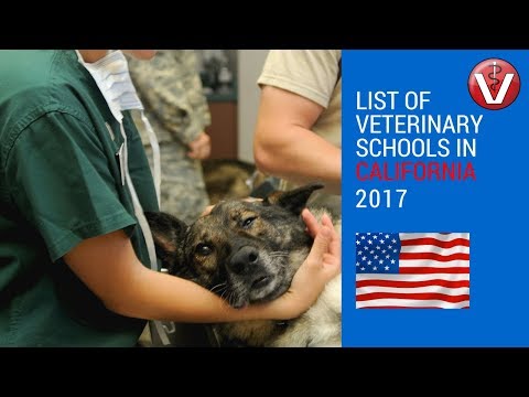 Veterinary schools in california