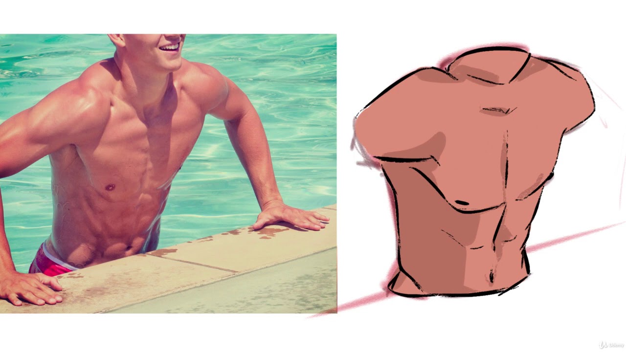 Introduction to Figure Drawing - Design a Dynamic Character - learn Figure Drawing