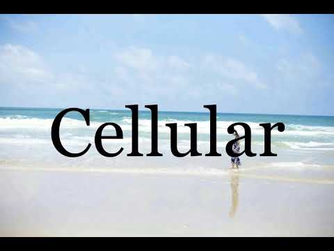 How To Pronounce Cellular๐๐๐๐๐๐Pronunciation Of Cellular