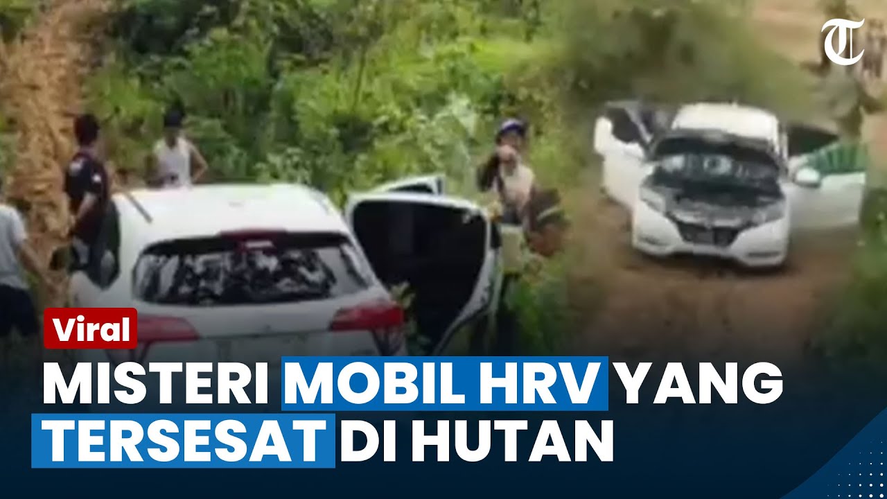Viral Misteri Mobil HRV Tersesat di Hutan Pati, Sopir Mengaku Ikuti ... Viral Misteri Mobil HRV Tersesat di Hutan Pati, Sopir Mengaku Ikuti ...
