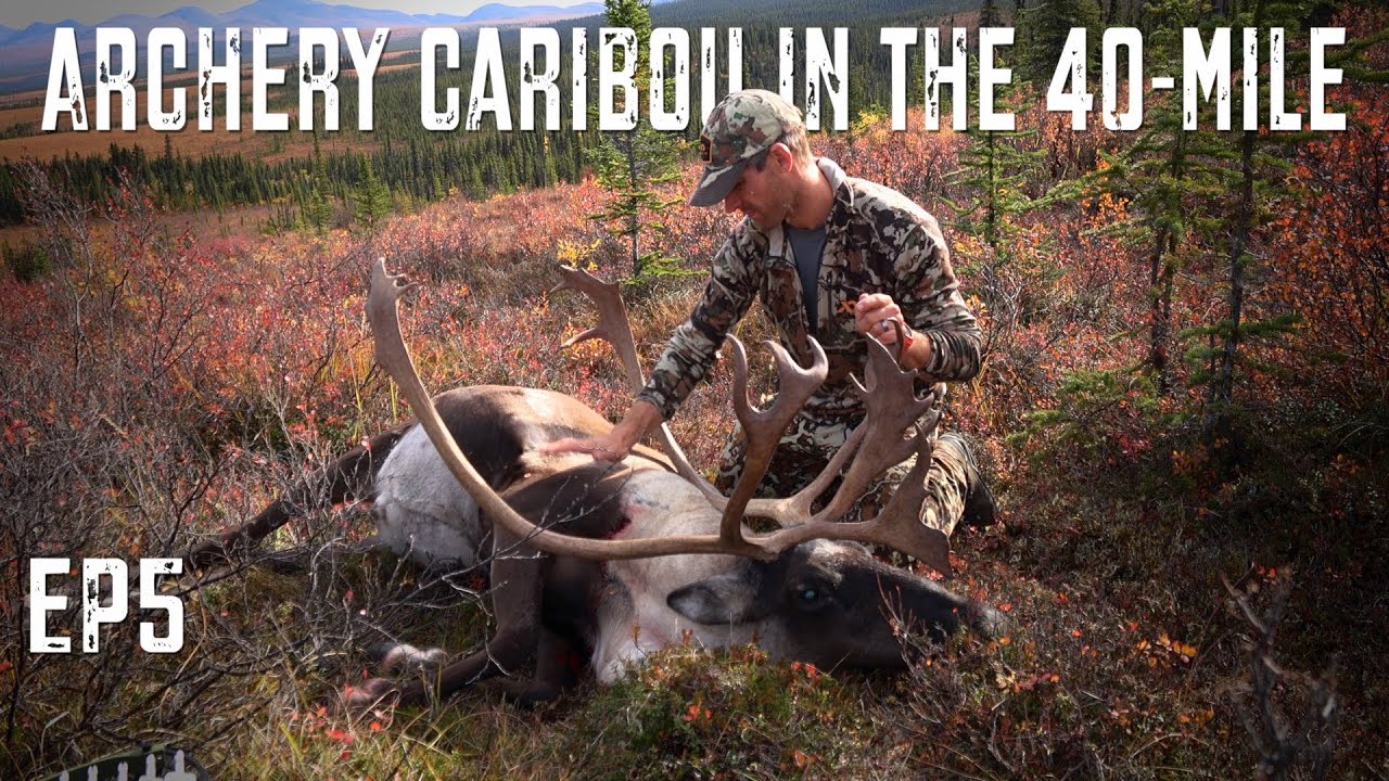 ARCHERY CARIBOU IN THE 40-MILE: ALASKA DEPARTED - EP5