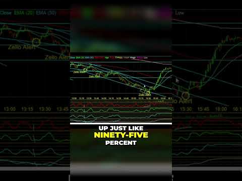 Mastering Financial Trading: The Opposite Strategy for Success